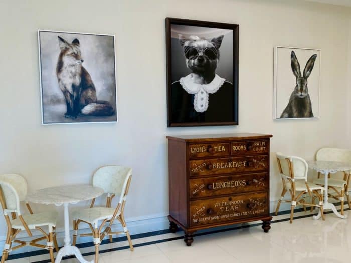 World Equestrian Center Ocala Guide + 5 Best Things to Do