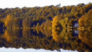 The 10 Best Things to Do in Loire Valley Trip From Paris