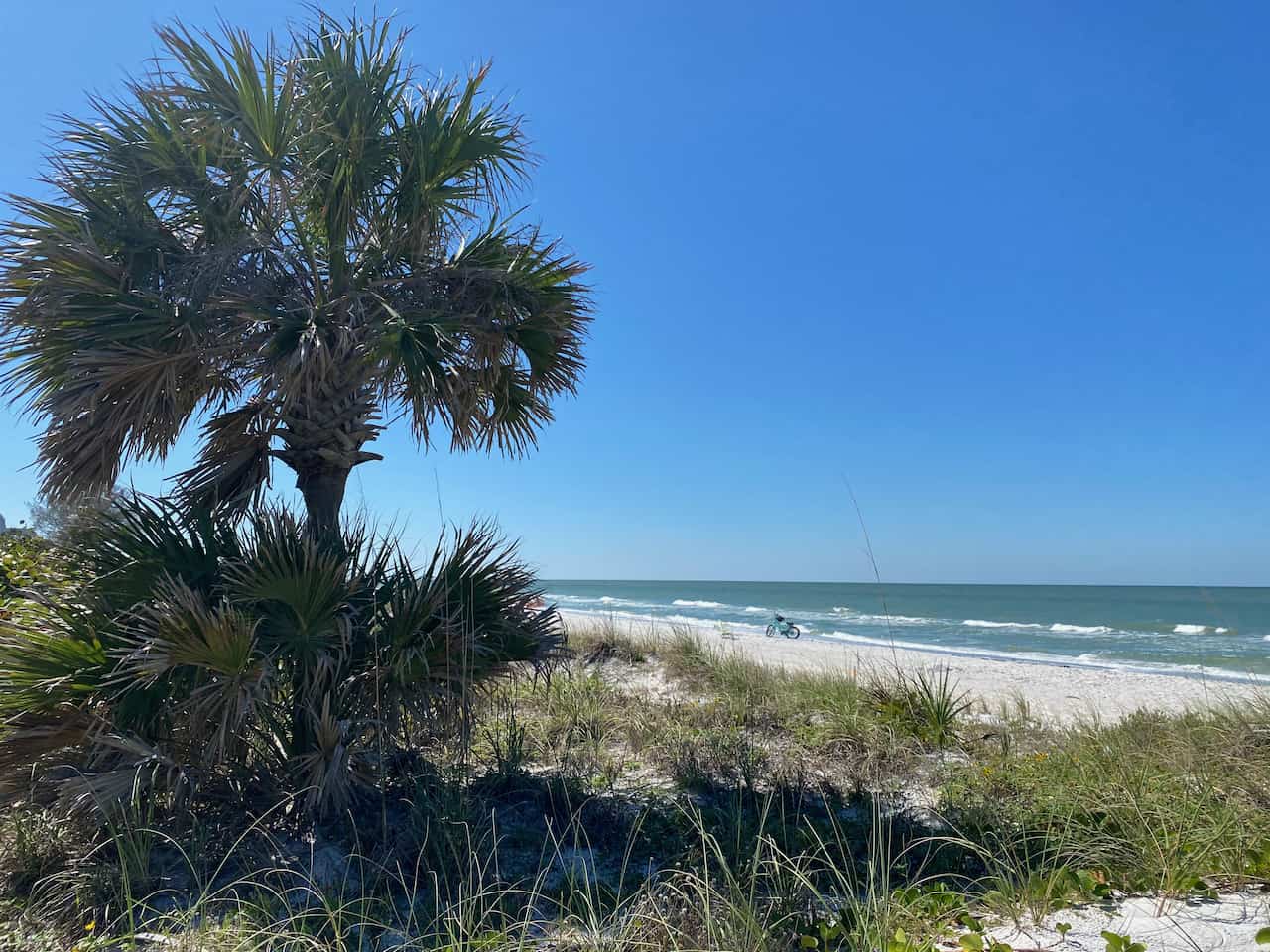 16 Best Things To Do in Indian Rocks Beach + More Local Tips