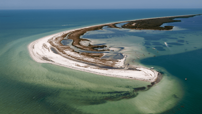 12 Best Beaches Near New Port Richey, Florida You'll Love