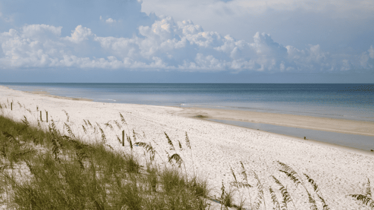 16 Top-Rated & Best Beaches Near Tallahassee, FL Right Now